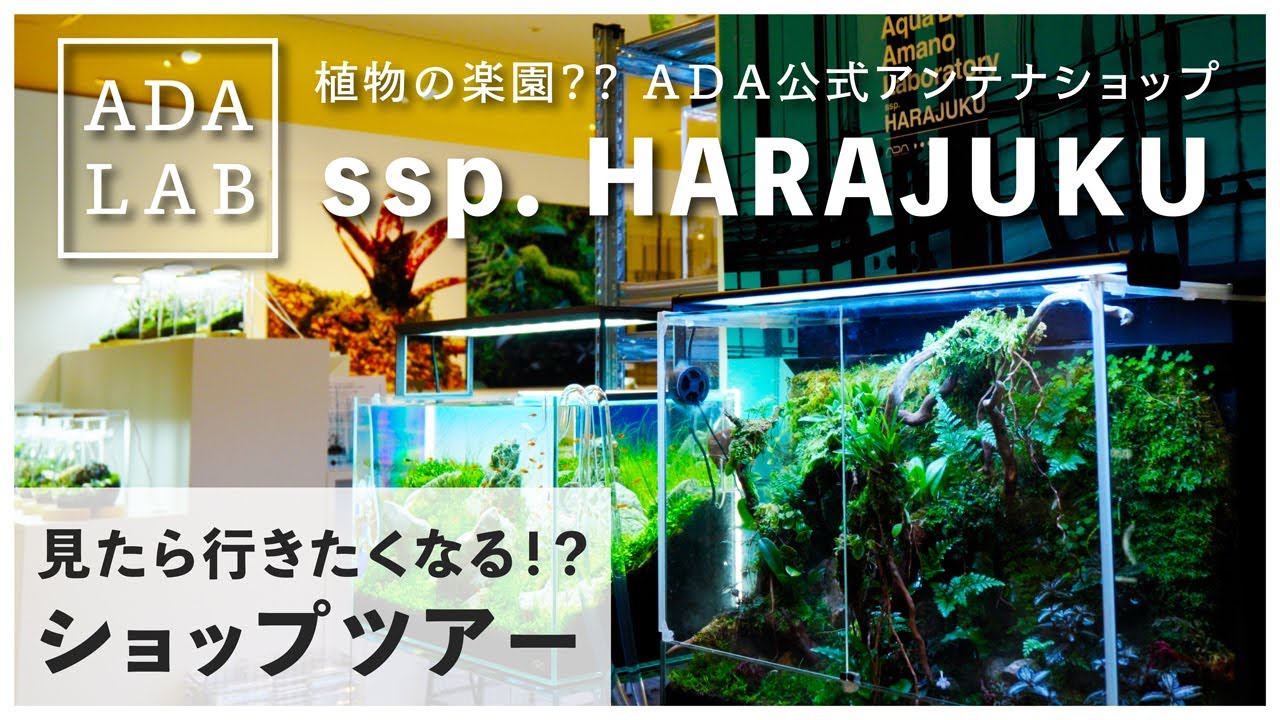 【ADA LAB HARAJUKU】原宿に期間限定オープンしたADA公式アンテナショップ 『ADA LAB HARAJUKU』の魅力を徹底紹介 ...